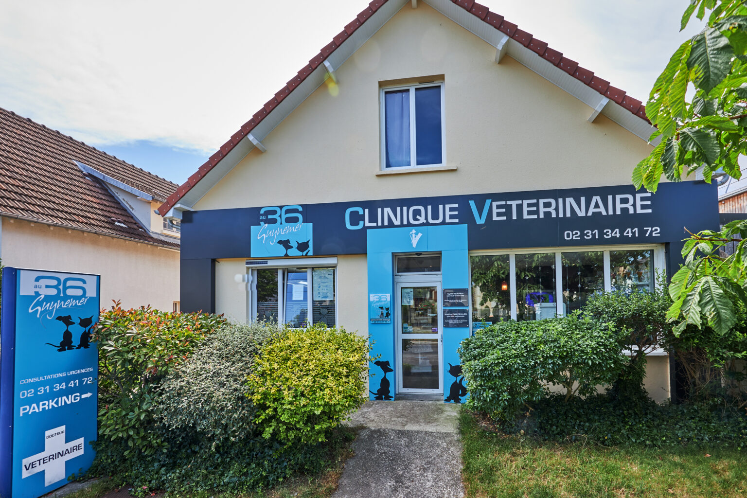 Reportages métiers : au cœur des cliniques vétérinaires Argos